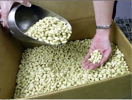 Raw Blanched Peanuts- 5lb bag – Appomattox River Peanut Company